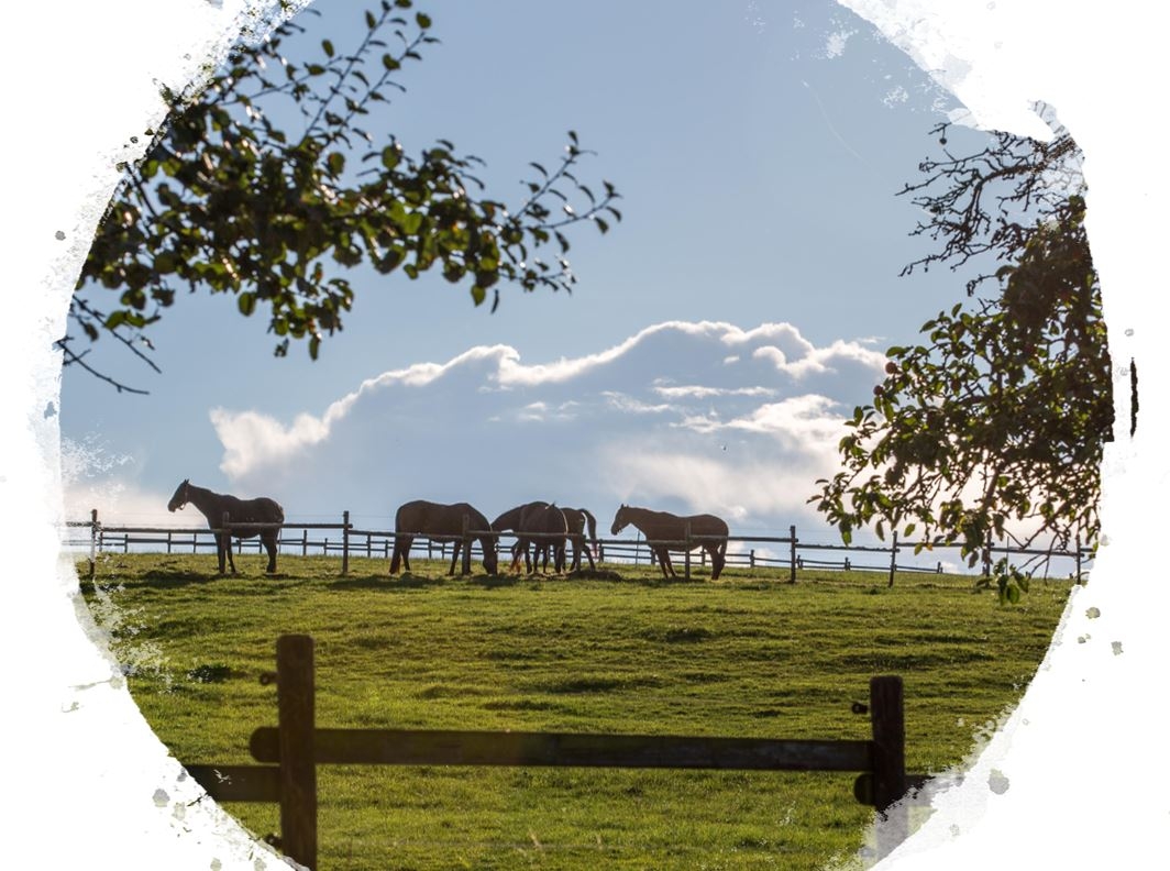 Stadtteile | Stadt Oberzent