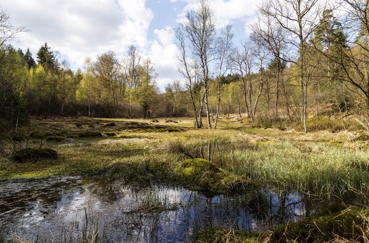 Olfen | Stadt Oberzent