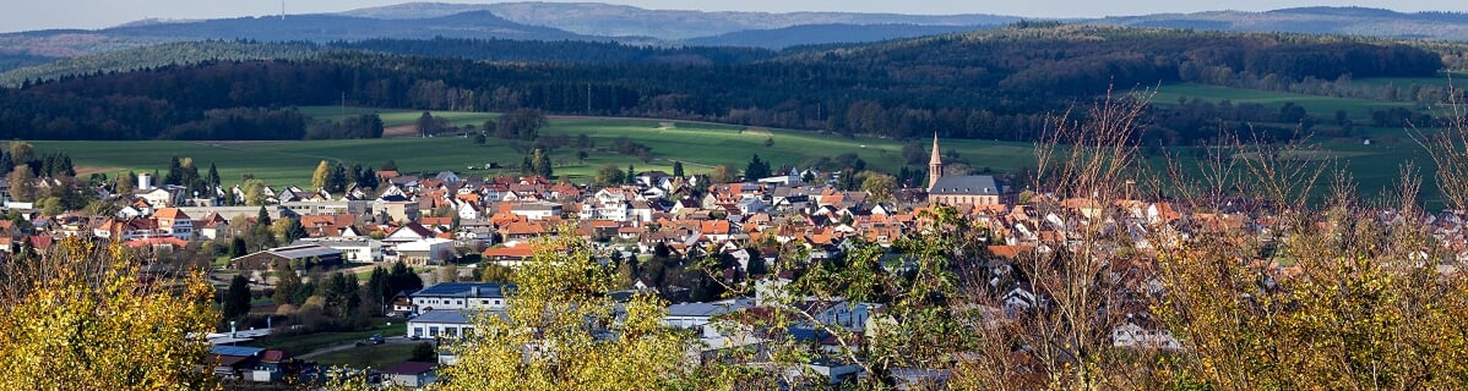 Wirtschafts-Service Odenwald / Oberzent | Stadt Oberzent