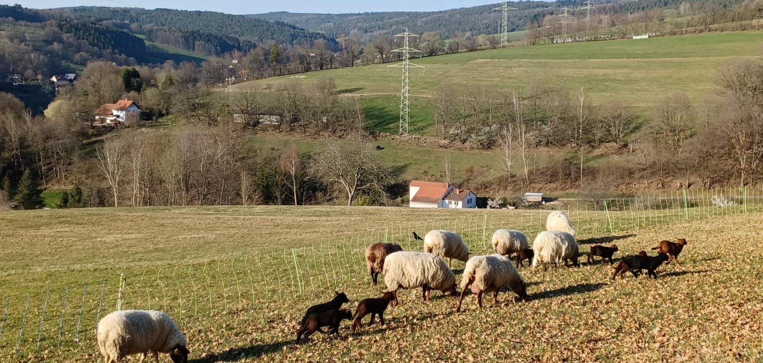 Willkommen | Stadt Oberzent