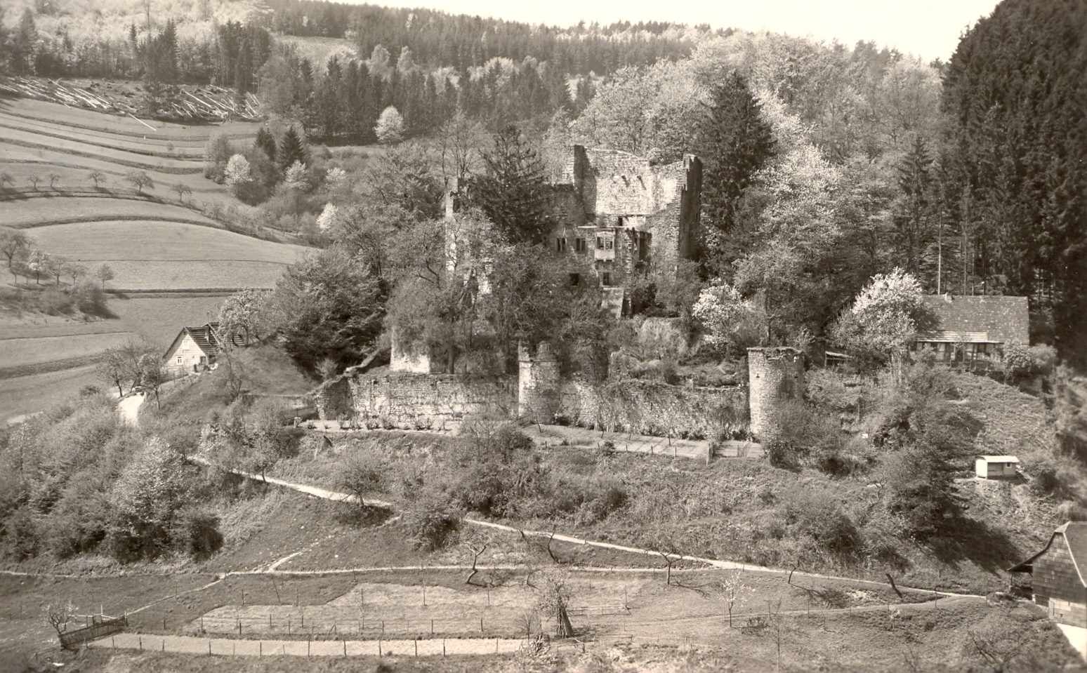 Burg Freienstein | Stadt Oberzent